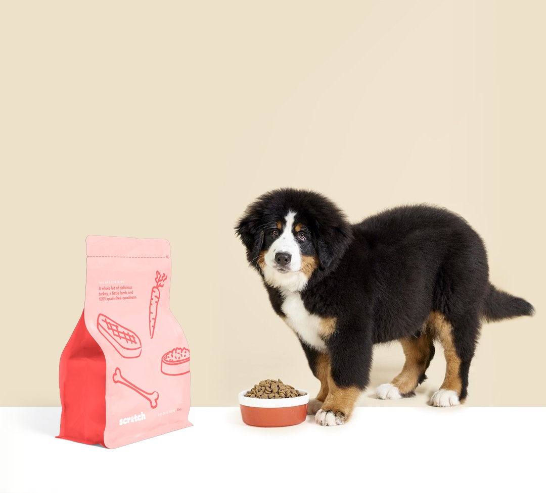 Premium Grain Free Turkey, Lamb & Beef Dog Food | Scratch
