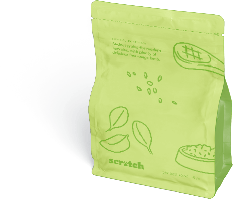 Australia's best dog food, delivered to your doorstep | Scratch