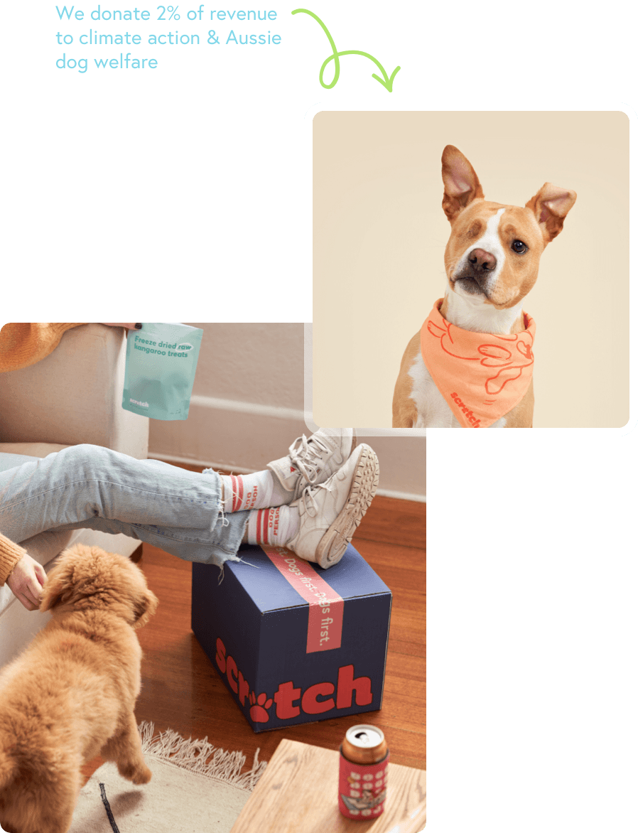 Australia's best dog food, delivered to your doorstep | Scratch