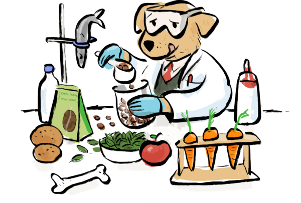 The best Australian dog food for Poodles | Scratch Dog Food