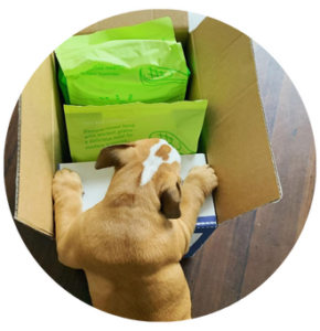 The best dog food for Bulldogs | Scratch Dog Food